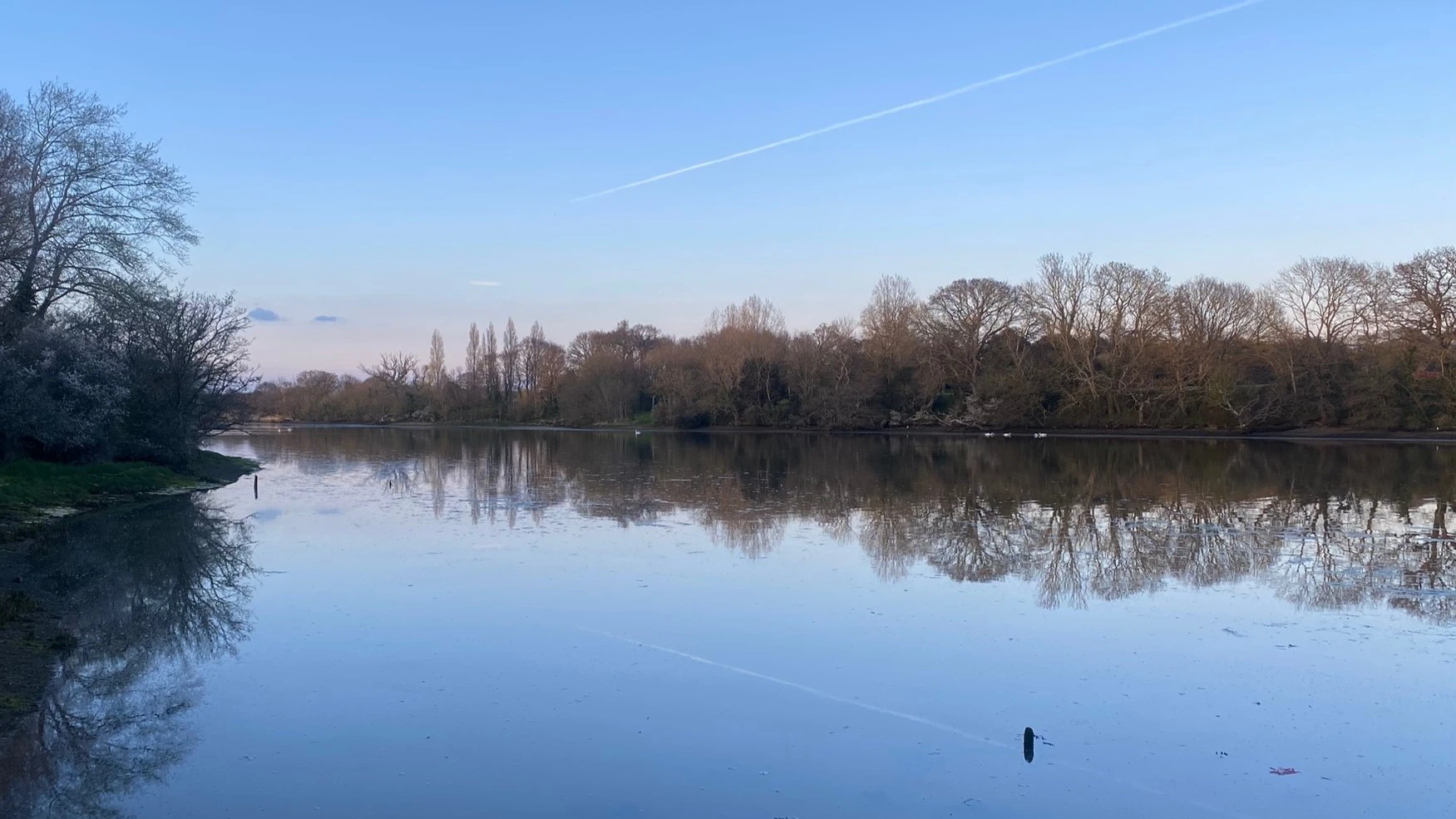 Celebrate | Grow | Reset - Isorropia Foundation