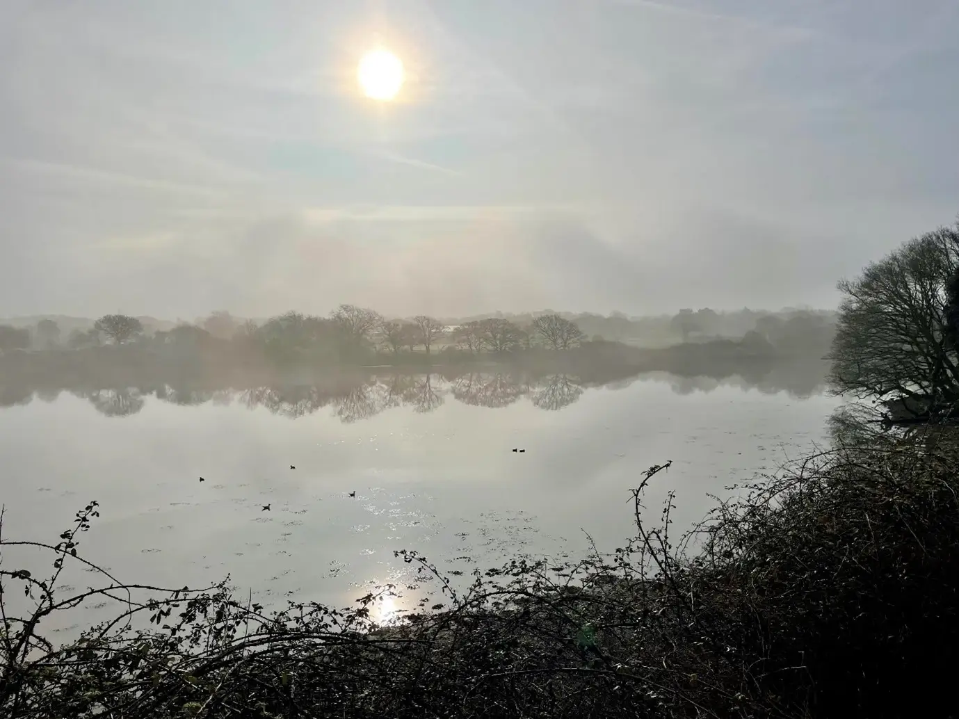 Comfort Zones | Positive Journalling | Inspirational Women - Isorropia Foundation