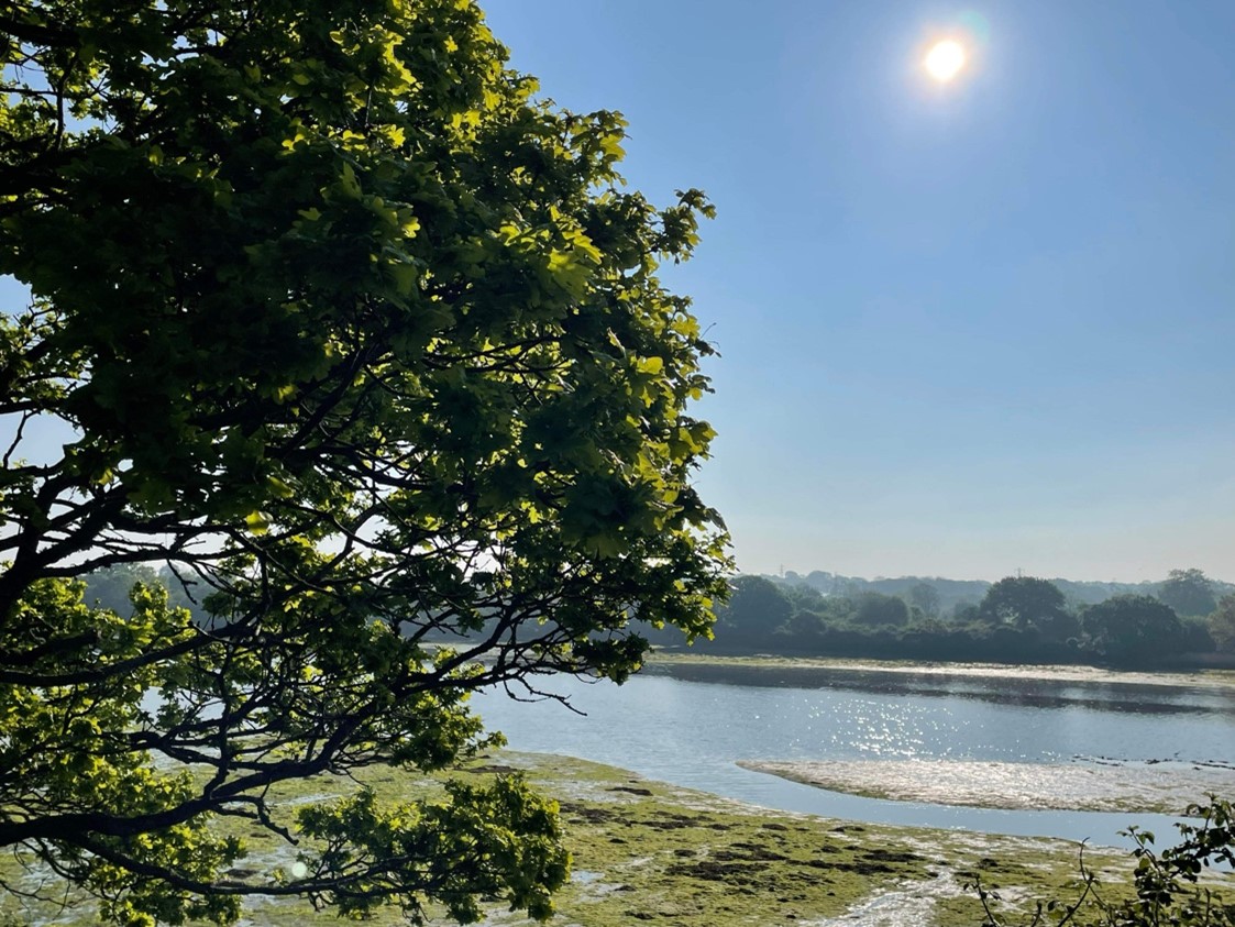 FAQs | Isorropia Foundation Wellbeing Support Questions Answered